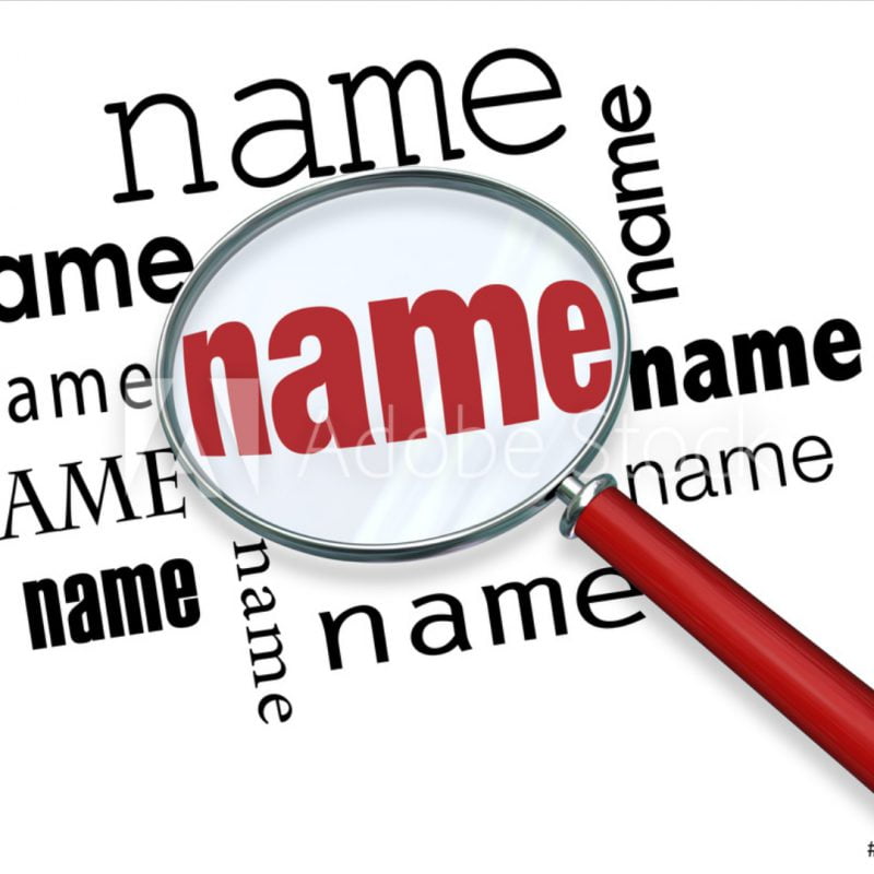 Guidelines for Name Approval as per Companies Act, 2013