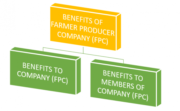 Benefits of Farmer Producer Company | Definition, Benefits