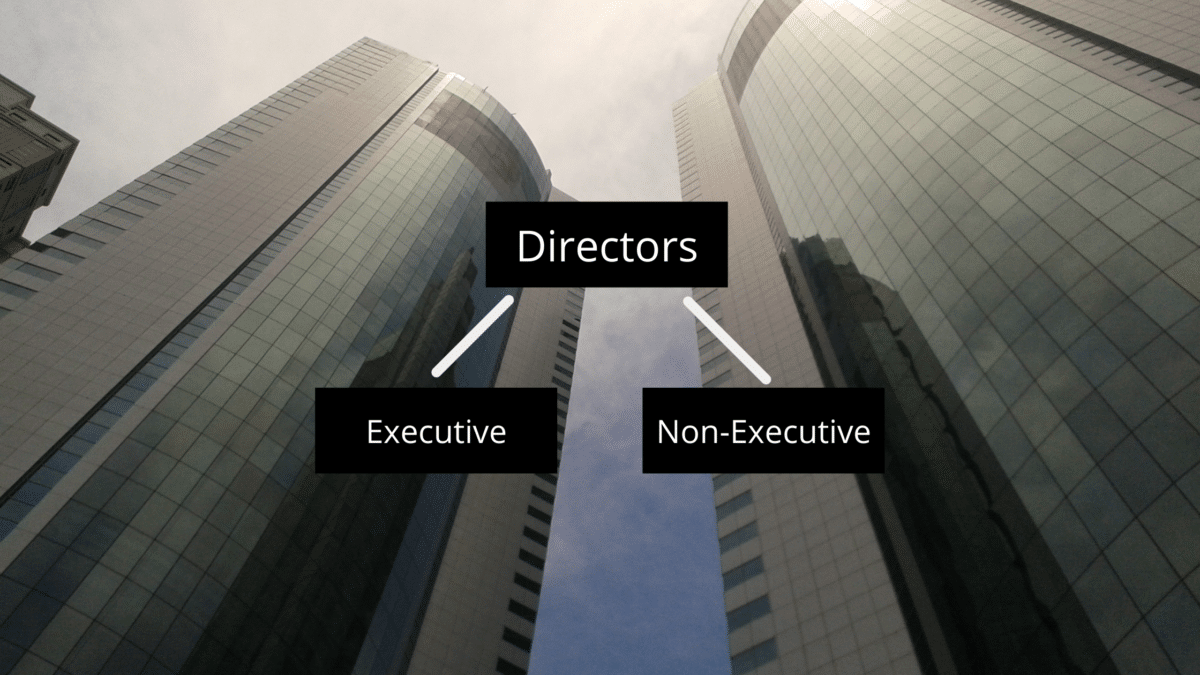 Who can become a director of a company in India?